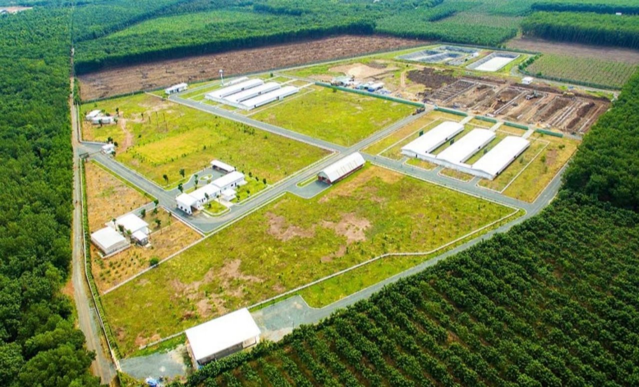 ANTACO BÌNH DƯƠNG đang thi công dự án"Trang trại chăn nuôi thí nghiệm ...